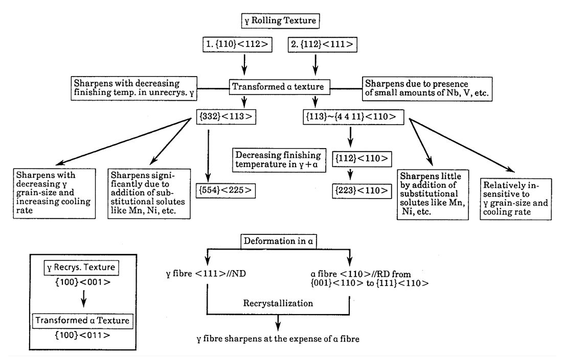 Partners | STEeLS-EM